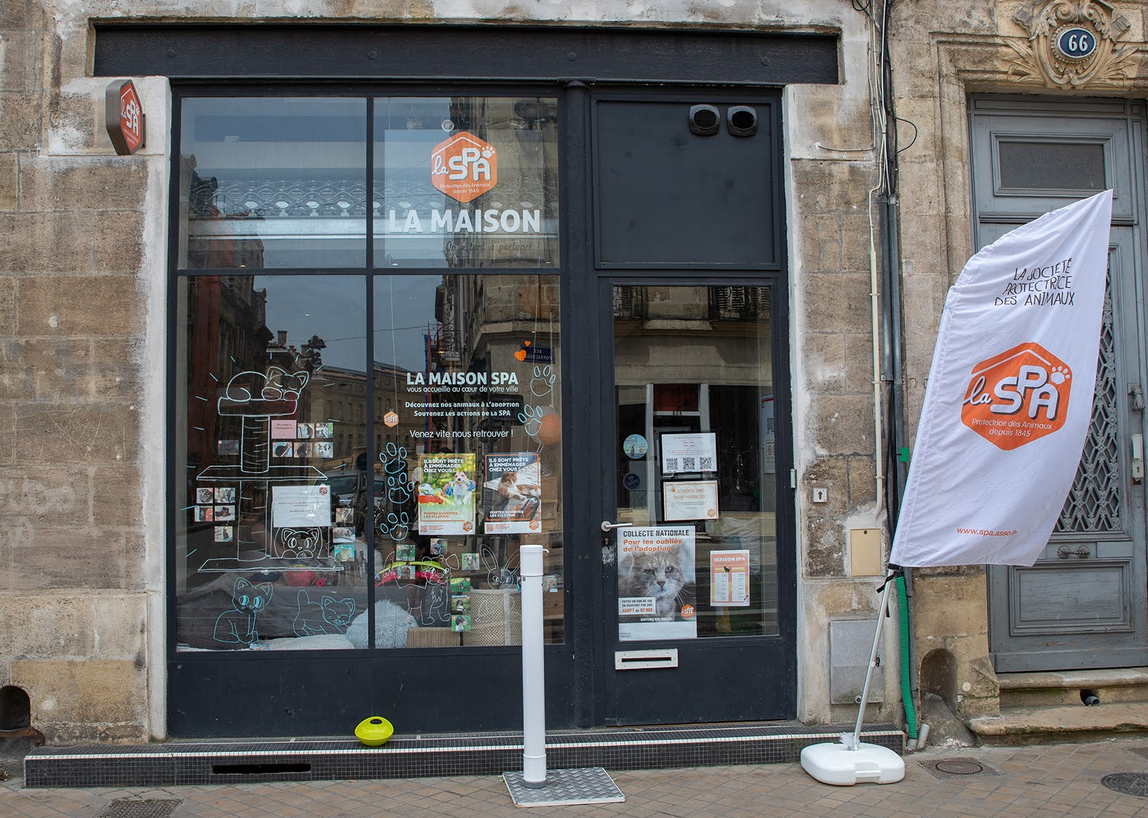 La Maison SPA de Bordeaux sur tous les fronts | Bordeaux Gazette