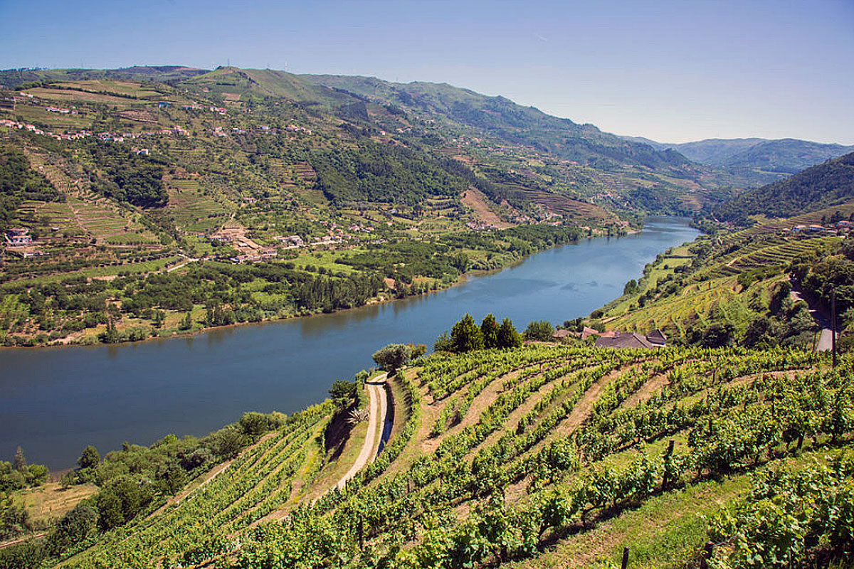 L'exposition "Douro, l'air de la terre au bord des eaux" ouverte à la ...